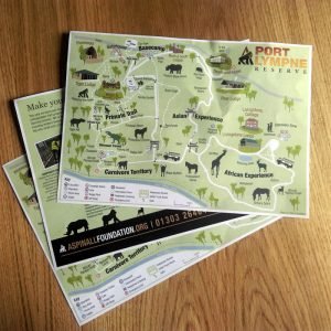 Wildlife Reserve Visitor Map - Port Lympne - Bek Cruddace Illustration