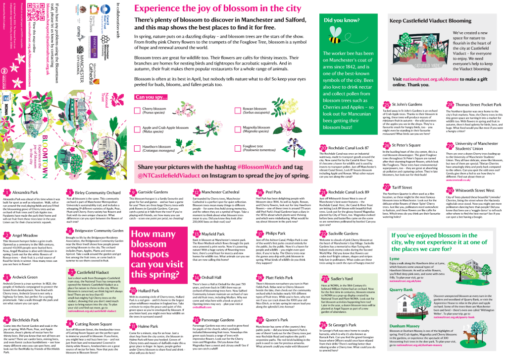 Manchester Blossom Map - Bek Cruddace Illustration