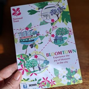 Manchester Blossom Map - Bek Cruddace Illustration