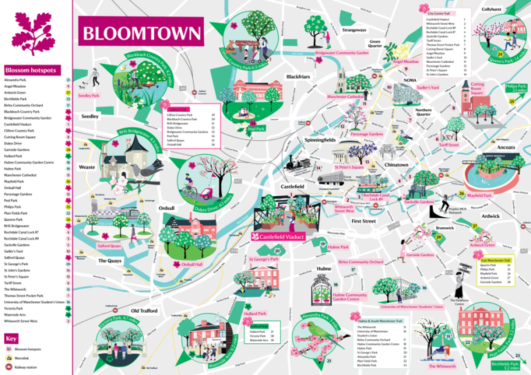Manchester Blossom Map 2024/25 - Bek Cruddace Illustration